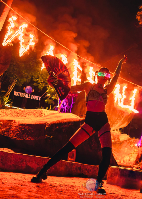 VIP - Waterfall Party